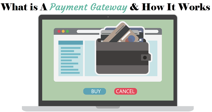 What Is Payment Gateway? How Payment Gateway Works - BlogVwant